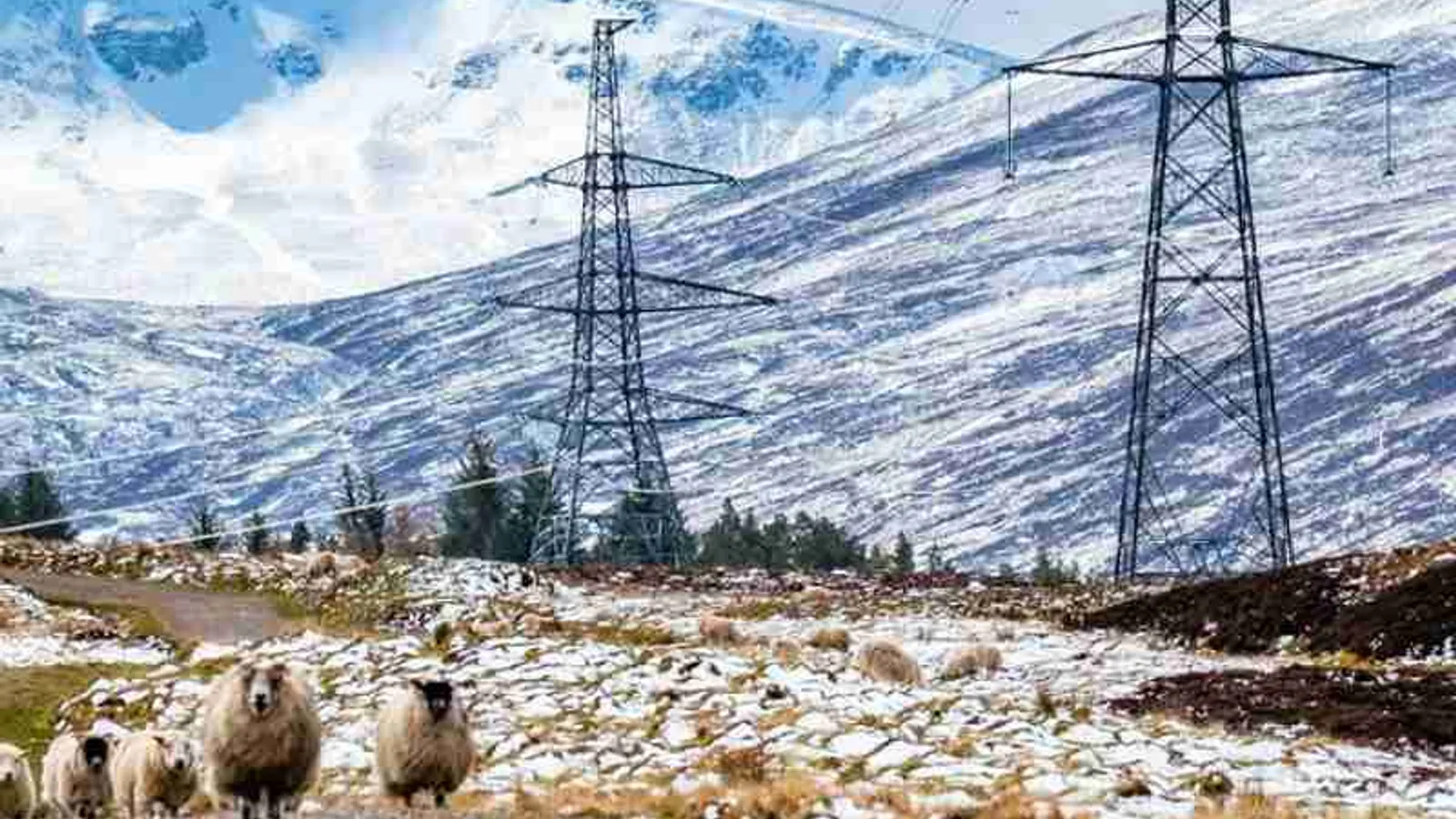 Ofgem approves ‘largest-ever’ transmission investment for Eastern Green ...