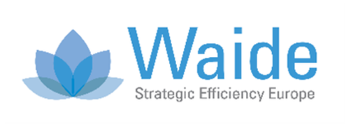 Waide Strategic Efficiency Europe | Enlit World