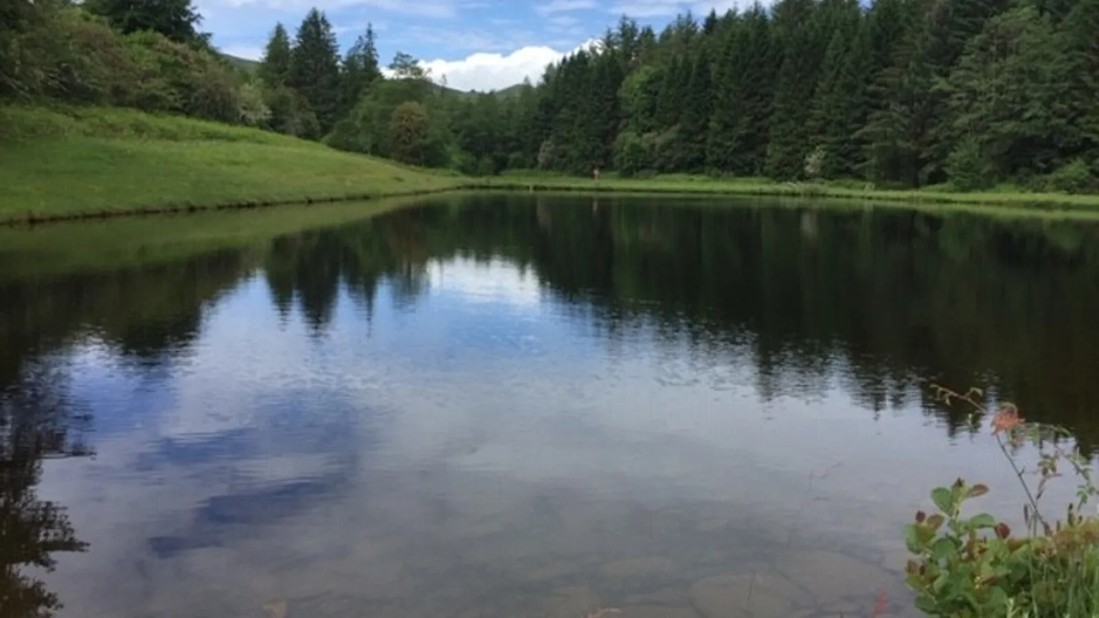 Welsh Water, Open Data Institute collaborate on open data | Enlit World