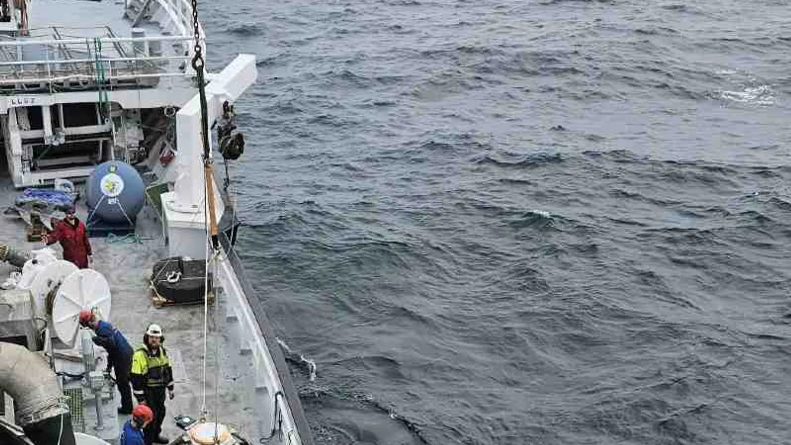 Salamander offshore wind farm deploys sensors to monitor marine life ...