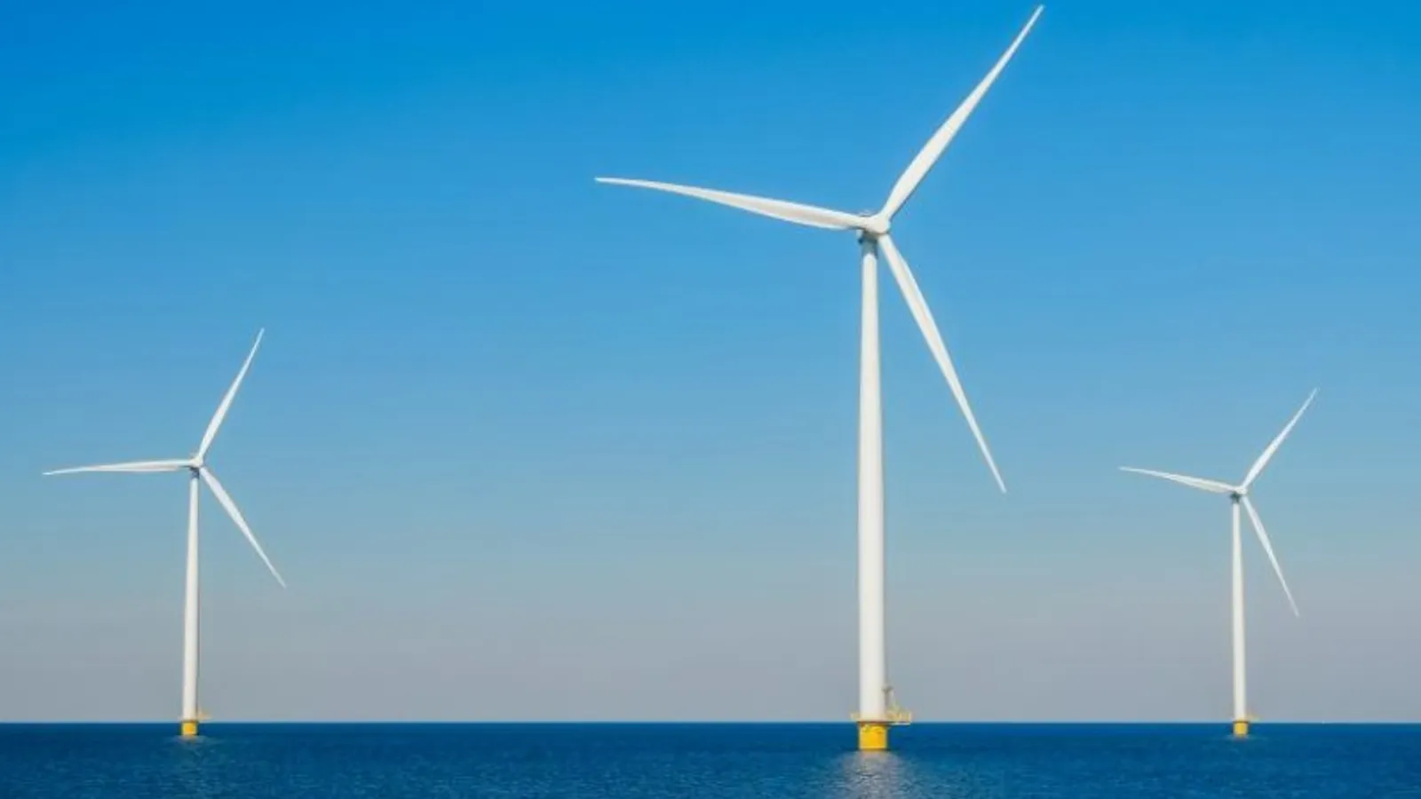 Ingka invests in Source Galileo's offshore wind portfolio | Enlit World