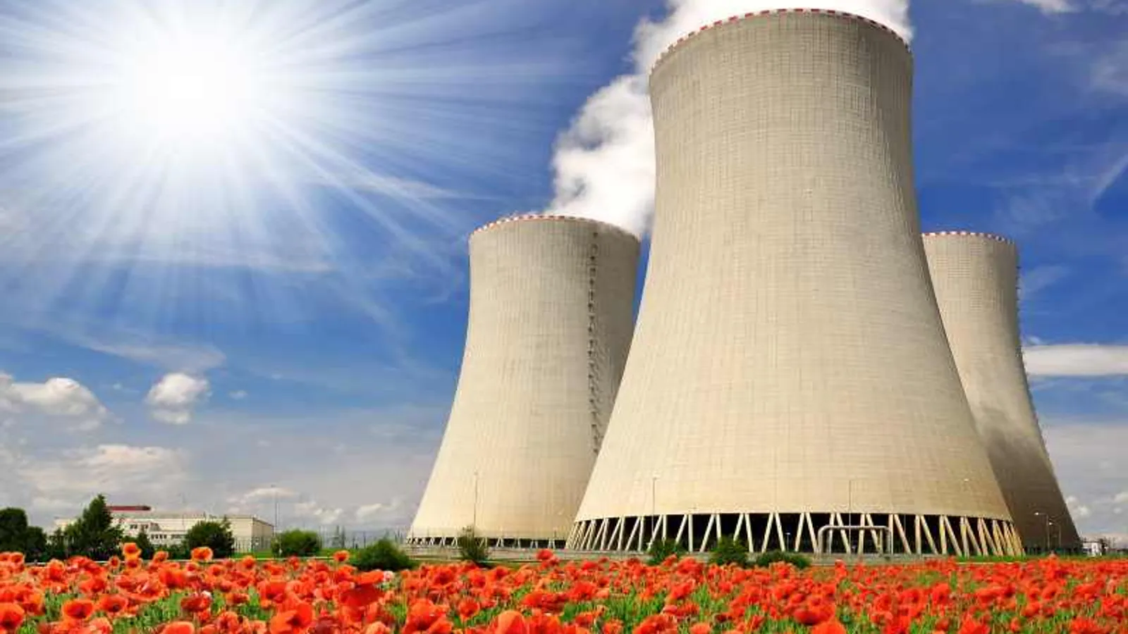 IEA predicts record nuclear growth but calls for de-risking sector ...